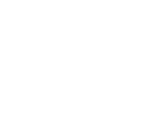 Dreamco Express Logistics